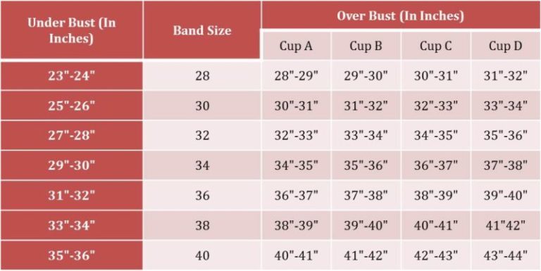 How to Find the Right Bra Size? - Clovia Blog