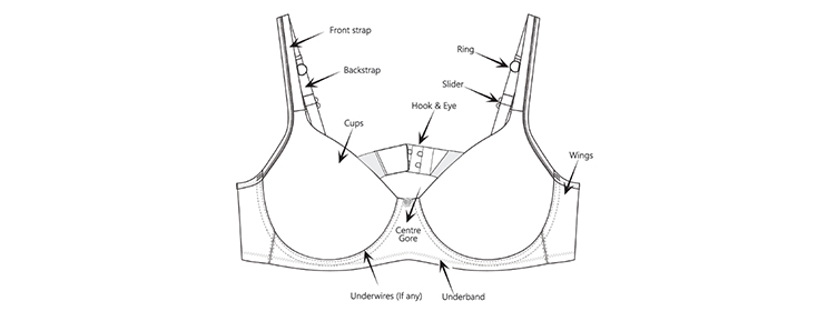 Clovia Magazine - Lingerie Solutions | Trends | Buying Guide - 2018- India