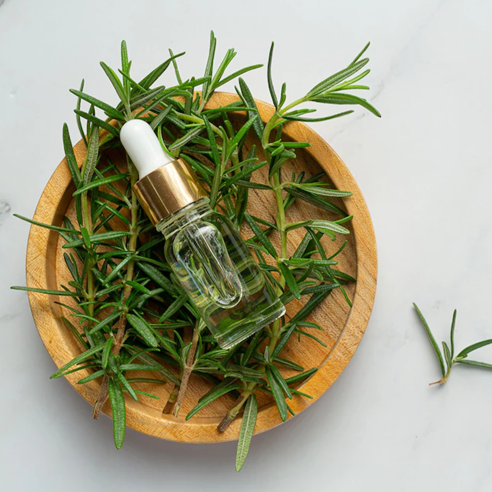 Rosemary Oil - A Hype or Elixir? - Clovia Blog