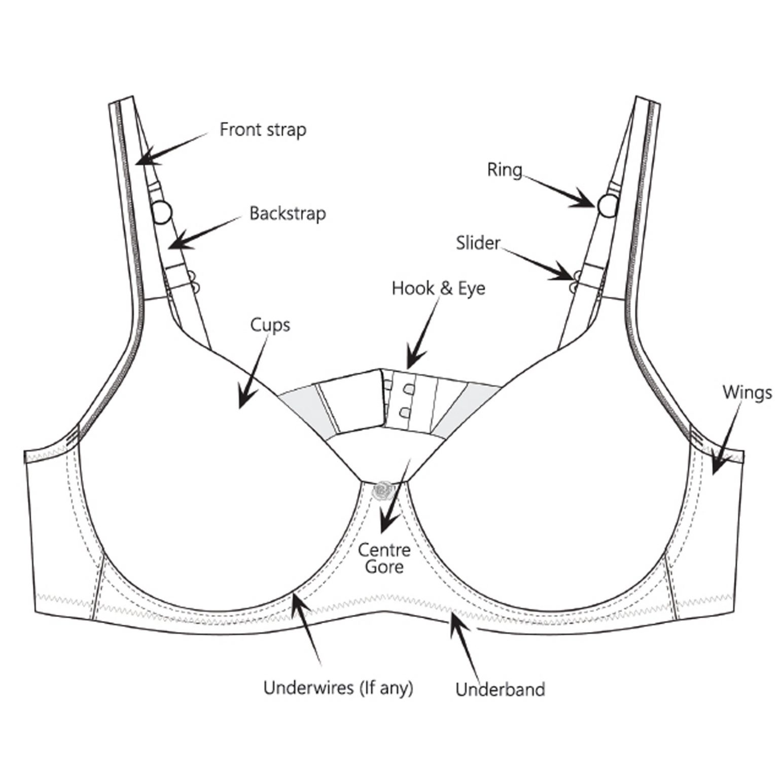 What is A Bra & Who Invented The Bra? - Clovia Blog