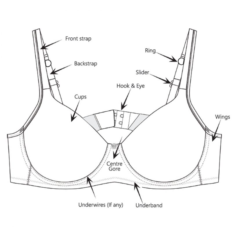 What is A Bra & Who Invented The Bra? - Clovia Blog